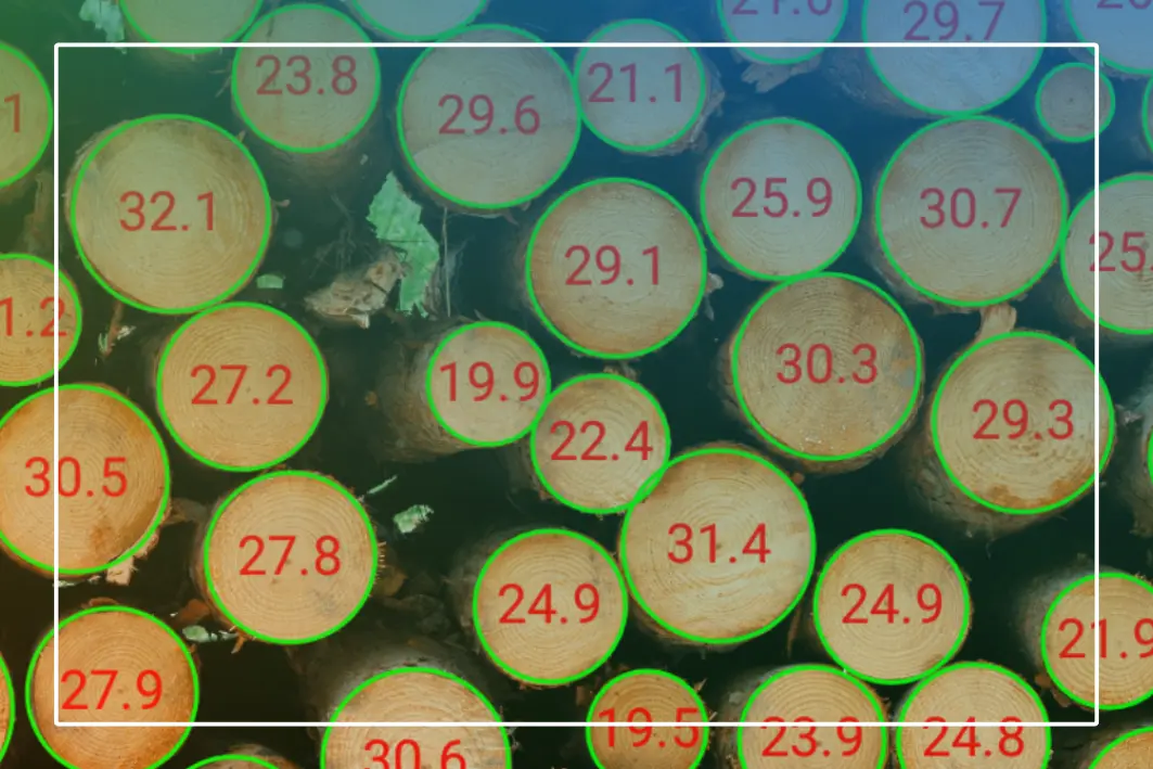 The hidden costs of incorrect log measurement | Timbeter Blog